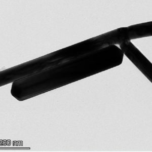 High-Purity Gold Nanowires for Flexible Electronics, Biomedical Sensors ...