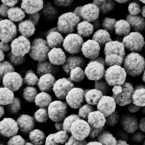 High-Purity Streptavidin Magnetic Beads for Molecular Biology and ...